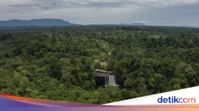 Niagara Kalimantan Barat, Air Terjun Riam Merasap Seru buat Rafting
