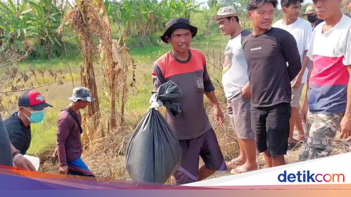 Temuan Polisi di Lokasi Tengkorak Manusia Utuh di Subang