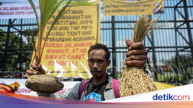 Petani Demo di Depan DPR, Ada Apa? Petani Demo di Depan DPR, Ada Apa?