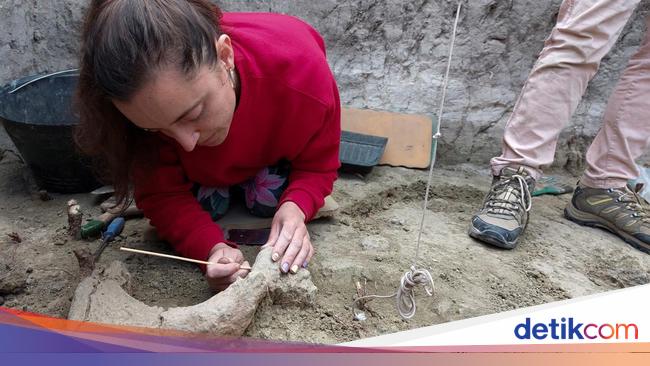 Ini Beda Fosil dan Artefak, Bisa Dilihat dari Wujud hingga Fungsinya