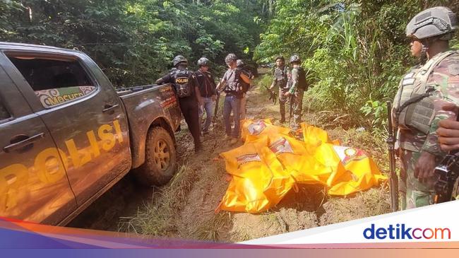 Tragedi 4 Warga Sulawesi Jadi Korban Tewas Penyerangan KKB di Papua Barat