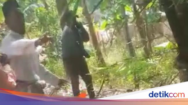 Lansia di Sumenep Tewas Kena Ledakan Petasan Saat Intip Lubang Meriam Bambu Lansia di Sumenep Tewas Kena Ledakan Petasan Saat Intip Lubang Meriam Bambu