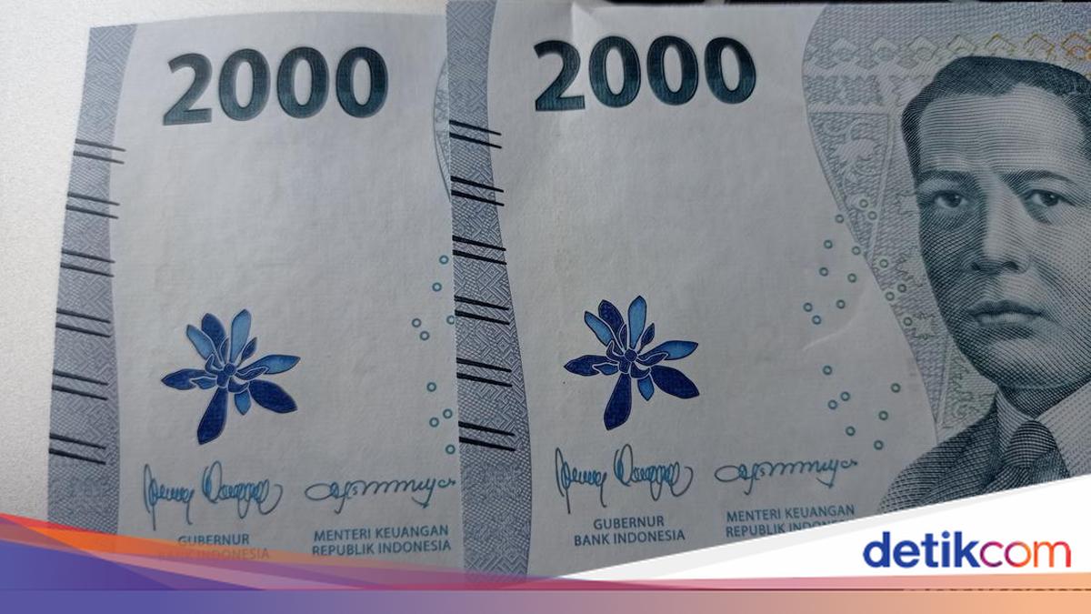 Ada Bunga Kematian Anggrek Biru di Rupiah Baru? BI: Itu Bunga Jeumpa