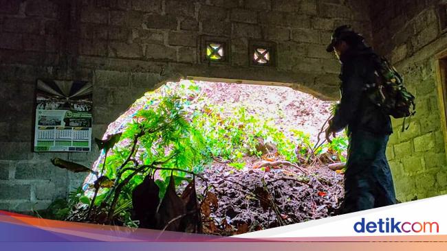 Tebing 10 Meter di Menoreh Kulon Progo Longsor, Rumah Warga Jebol