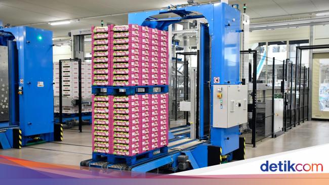 Supply Chain Management (SCM) Adalah: Fungsi dan Strategi Pengoptimalannya