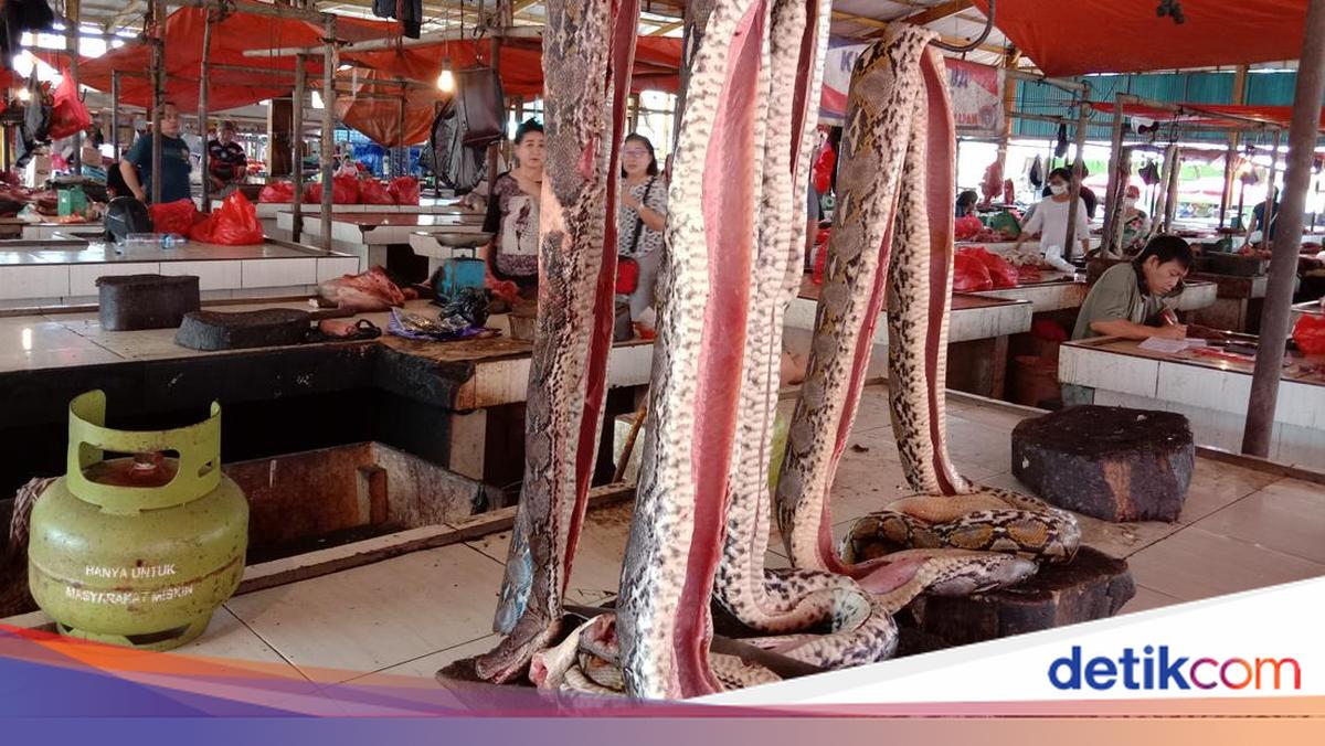 5 Hewan Ekstrem Ini Pernah Dijual di Pasar Tomohon, Kelelawar hingga Anoa