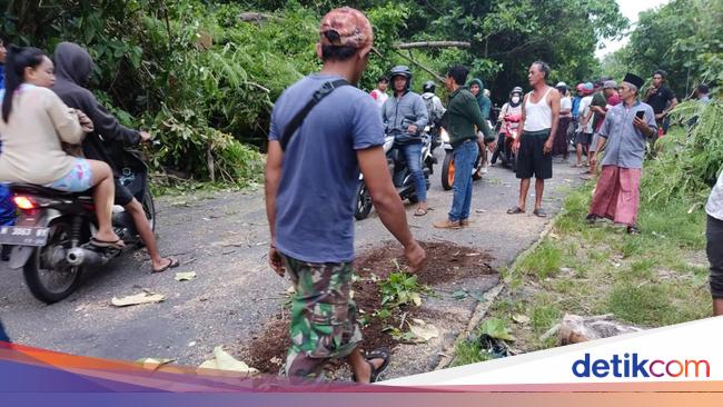 Pemotor Tewas Tertimpa Pohon di Ngaliyan Semarang