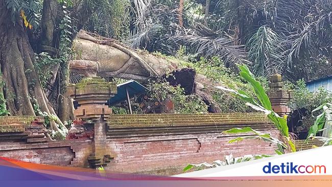 4 Titik Tanah Longsor-Pohon Tumbang Timpa Palinggih Pura di Badung
