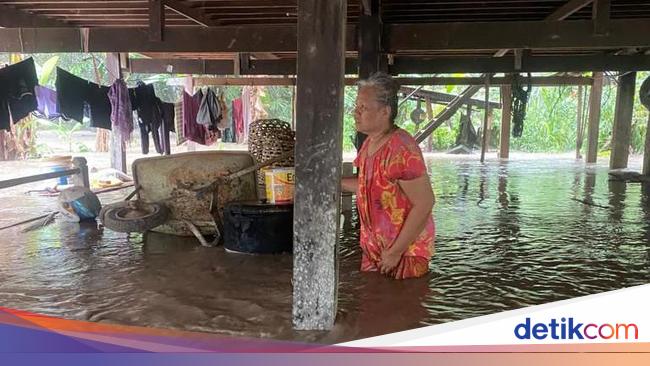 Sulsel Pancaroba Sepekan ke Depan: Waspada Banjir, Longsor, Pohon Tumbang