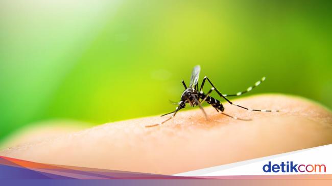 Simbiosis Parasitisme Adalah: Pengertian, Jenis dan Contohnya