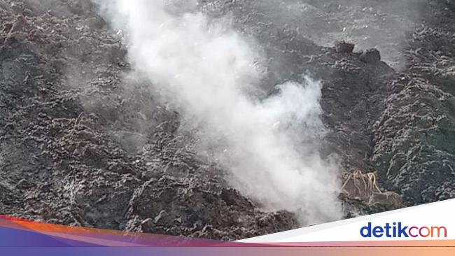 Muncul 5 Titik Api Bau Balerang di Bukit Naimutis NTT, Warga Pusing-pusing