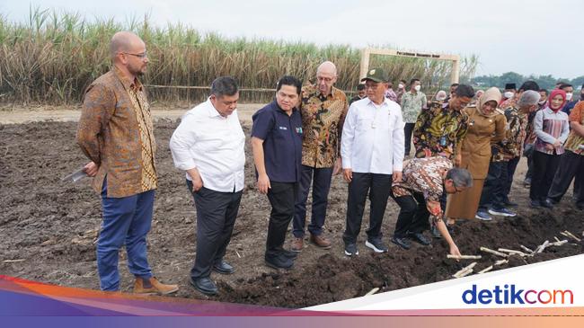Revitalisasi Industri Gula Targetkan Swasembada untuk Konsumsi 2028