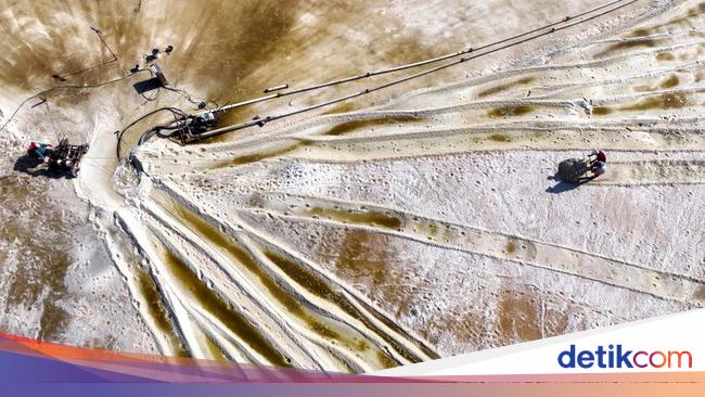 Mengintip Panen Garam di China, Sama Nggak Kayak di RI?