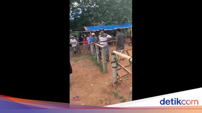 Pria Bangkalan Ditembak hingga Tewas Saat Sedang Nonton Sabung Ayam