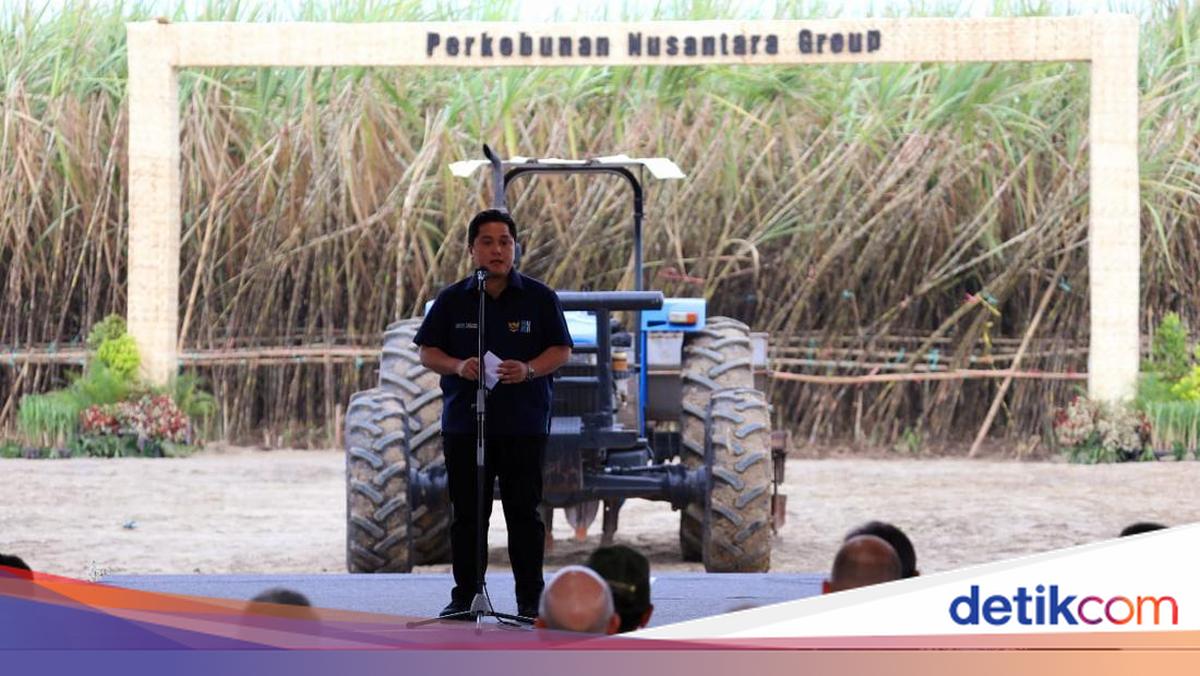 RI Maksimalkan Peran BUMN Geber Swasembada Gula hingga Energi