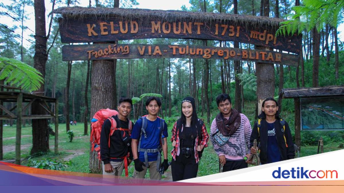 Camping Yuk ke Hutan Pinus Loji Blitar, Wisata Sejuk Alami di Lereng ...