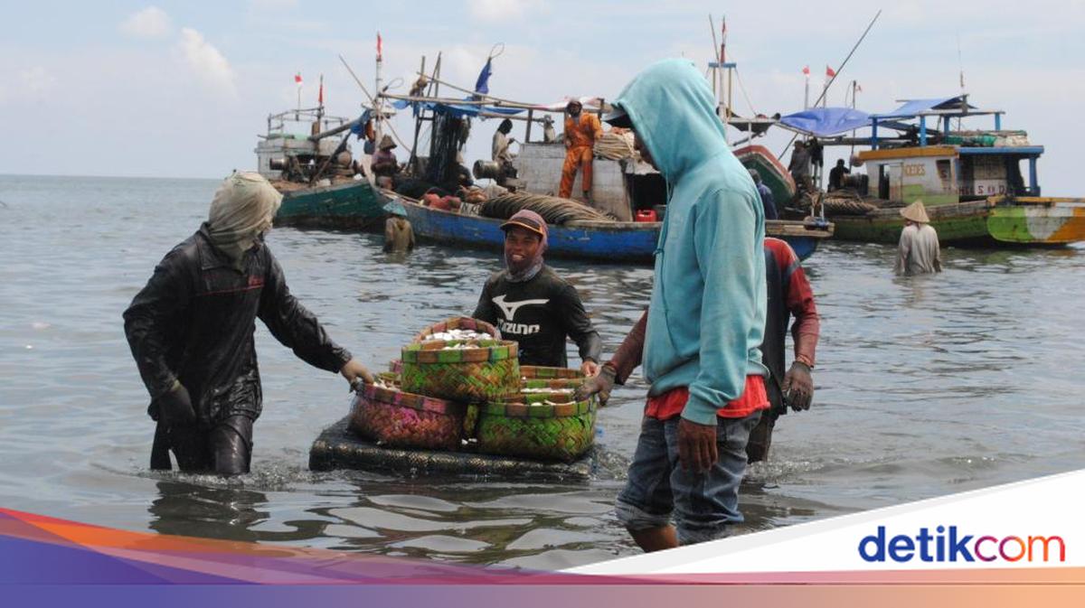 28 Twibbon dan 16 Ucapan Selamat Hari Nelayan Nasional, Share di Medsosmu