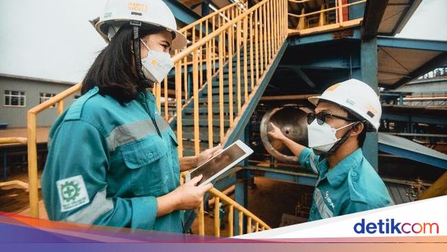 Tambang Nikel di Pulau Obi, Penghasil Bahan Baku Baterai Mobil Listrik
