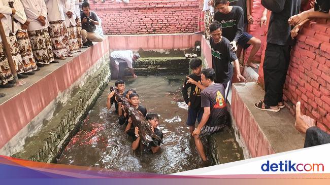 Mengenal Muludan Tuk, Ritual Mandikan Kayu Keramat di Cirebon Jadi WBTB