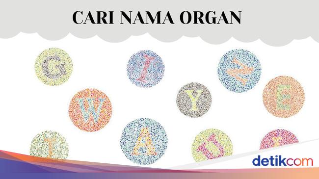 Tes Ketajaman Saraf Mata, Bisakah Temukan Kata Tersembunyi? Tes Ketajaman Saraf Mata, Bisakah Temukan Kata Tersembunyi?