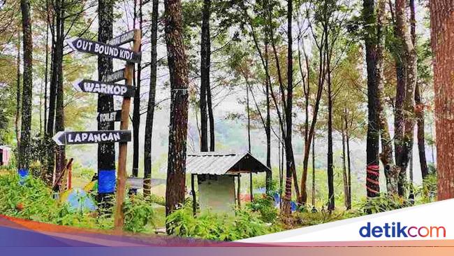 Pesona Alas Pelangi, Hutan Pinus di Trawas Mojokerto