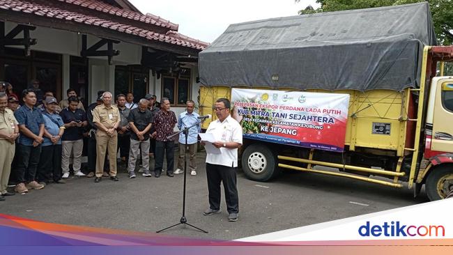 Mantap! Petani Purbalingga Kontrak Ekspor 300 Ton Lada ke Jepang Mantap! Petani Purbalingga Kontrak Ekspor 300 Ton Lada ke Jepang