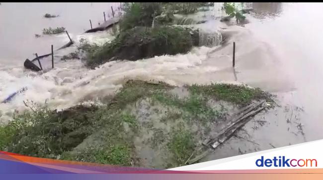 Tanggul Anak Sungai Ingas Bojonegoro Jebol Banjiri Sawah Warga