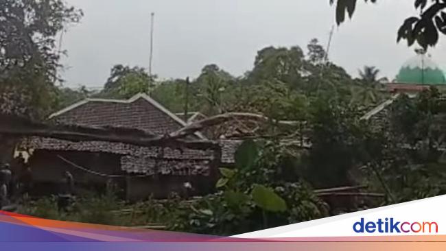 Pohon Tumbang Timpa 3 Rumah Di Lebak