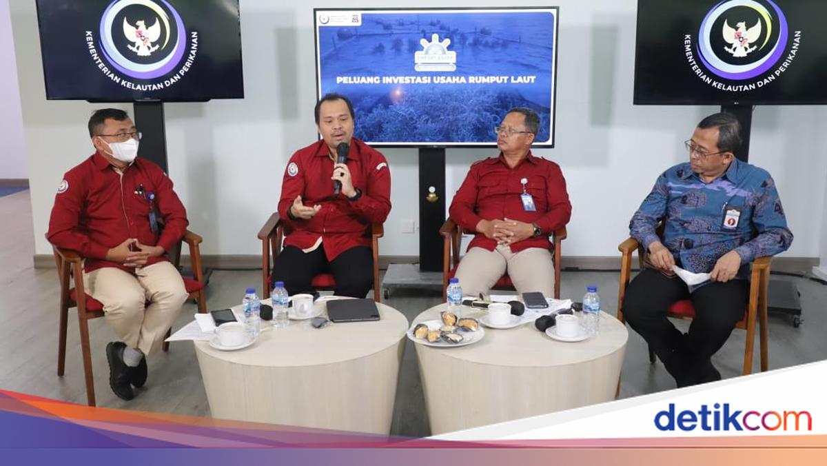 Disebut Emas Hijau, Produksi Rumput Laut RI Digenjot untuk Ekspor
