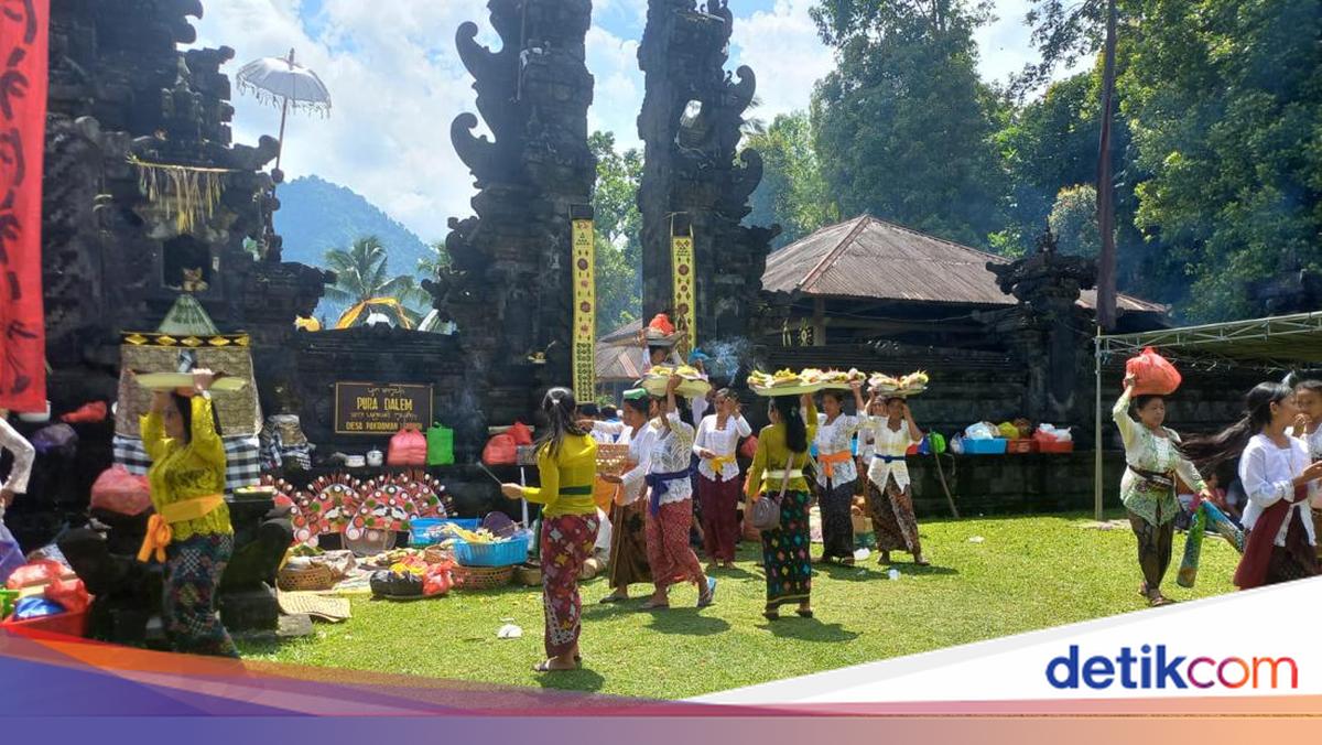 Tradisi Sabha Dalem Desa Lemukih Buleleng, Awal Krama Turun Medesa