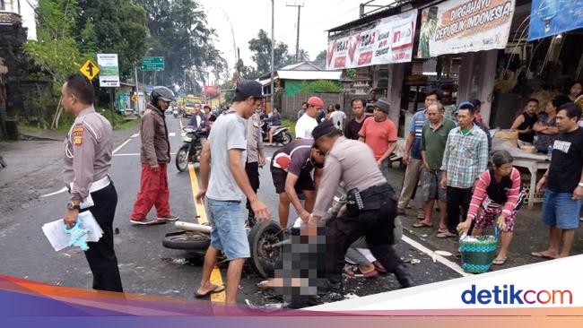 2 Motor 'Adu Jangkrik' di Rendang Karangasem, Pelajar-Petani Tewas