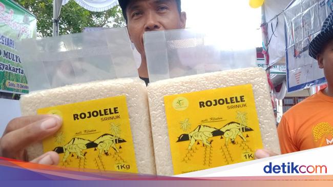 Melacak Sejarah Rojolele, Beras Unggulan Asal Delanggu Klaten