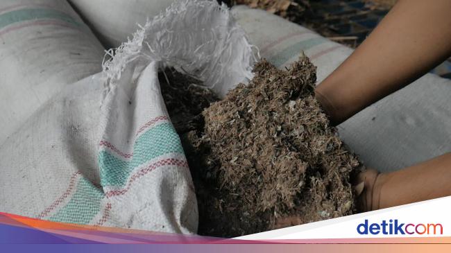 Keren! Masyarakat Lampung Sulap Sampah Jadi Bahan Bakar PLTU Tarahan