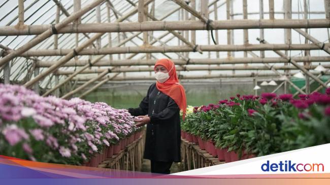 Gubernur Khofifah Ajak Masyarakat Peduli Hari Cinta Puspa dan Satwa Nasional