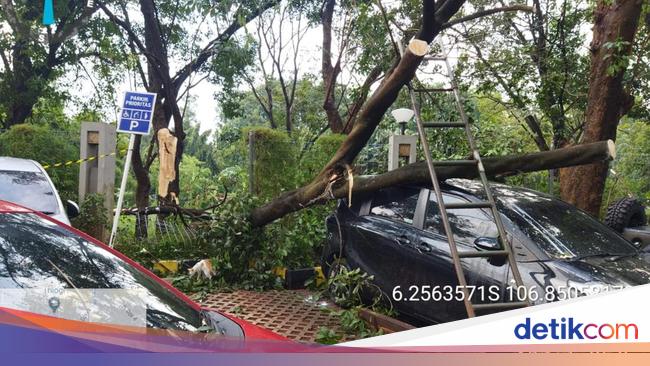 Pohon Tumbang Timpa 7 Mobil di Area Parkir Apartemen Kalibata City Pohon Tumbang Timpa 7 Mobil di Area Parkir Apartemen Kalibata City