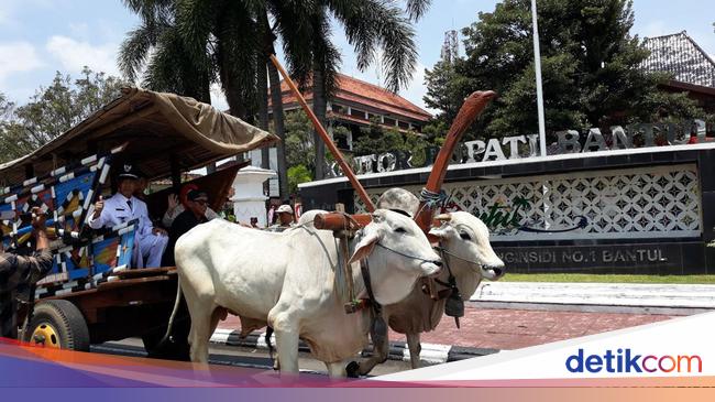 Ramai gegara Rocky Gerung, Ini Potret Bajingan Sebenarnya di Bantul