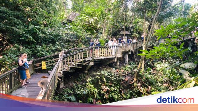 Monkey Forest Ubud: Jam Buka, Harga Tiket, Fasilitas