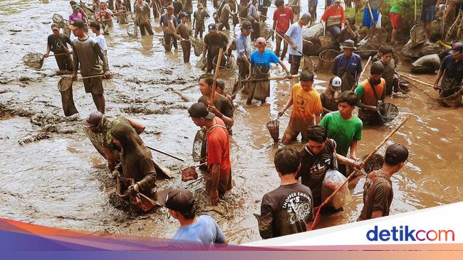 Melihat Asatan, Tradisi Tangkap Ikan di Bendungan Sampean Baru Bondowoso