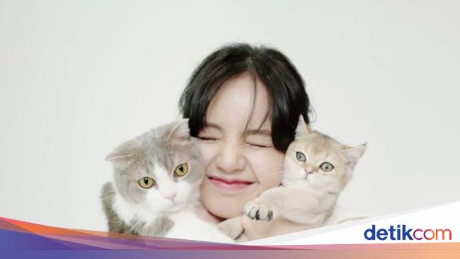 Gemes Banget! 7 Pose Artis Bareng Kucing Kesayangannya