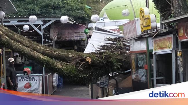 Dahan Pohon Patah Timpa 4 Kios di Food Center Alun-alun Kota Batu