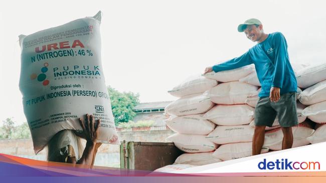 Sulsel Dapat Jatah Pupuk Subsidi NPK Kakao 22.884 Ton di 2023
