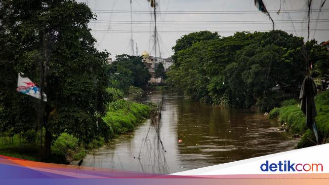 Dki Anggarkan Rp 469 M Untuk Pembebasan Lahan Normalisasi Ciliwung