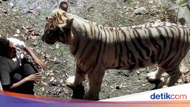 Foto yang Diambil Beberapa Detik Sebelum Tragedi Terjadi