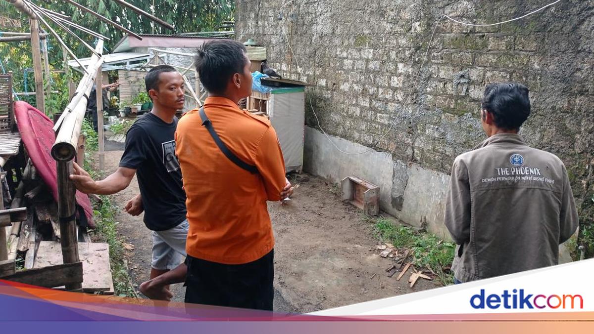 Atap-Dinding Rumah Warga di Bogor Ambruk Imbas Gempa M 5,6 Cianjur