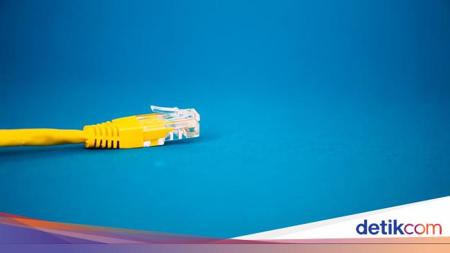 Mengenal Fungsi Kabel LAN: Jenis dan Susunannya