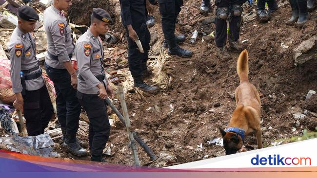 Anjing Pelacak Dikerahkan untuk Cari Korban Gempa Cianjur