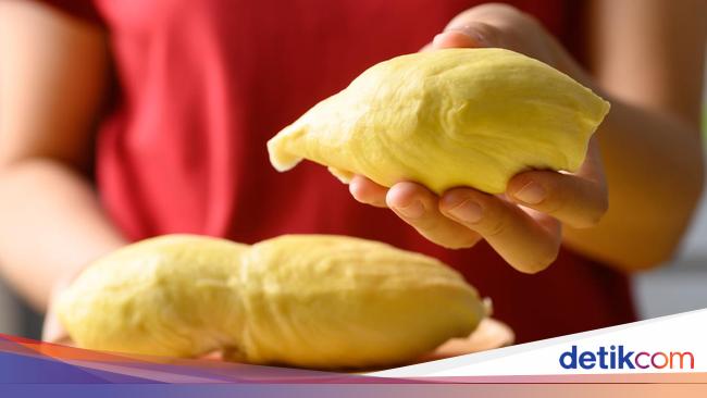 5 Jenis Durian Terpopuler di Indonesia, Harumnya Legit Banget! 5 Jenis Durian Terpopuler di Indonesia, Harumnya Legit Banget!