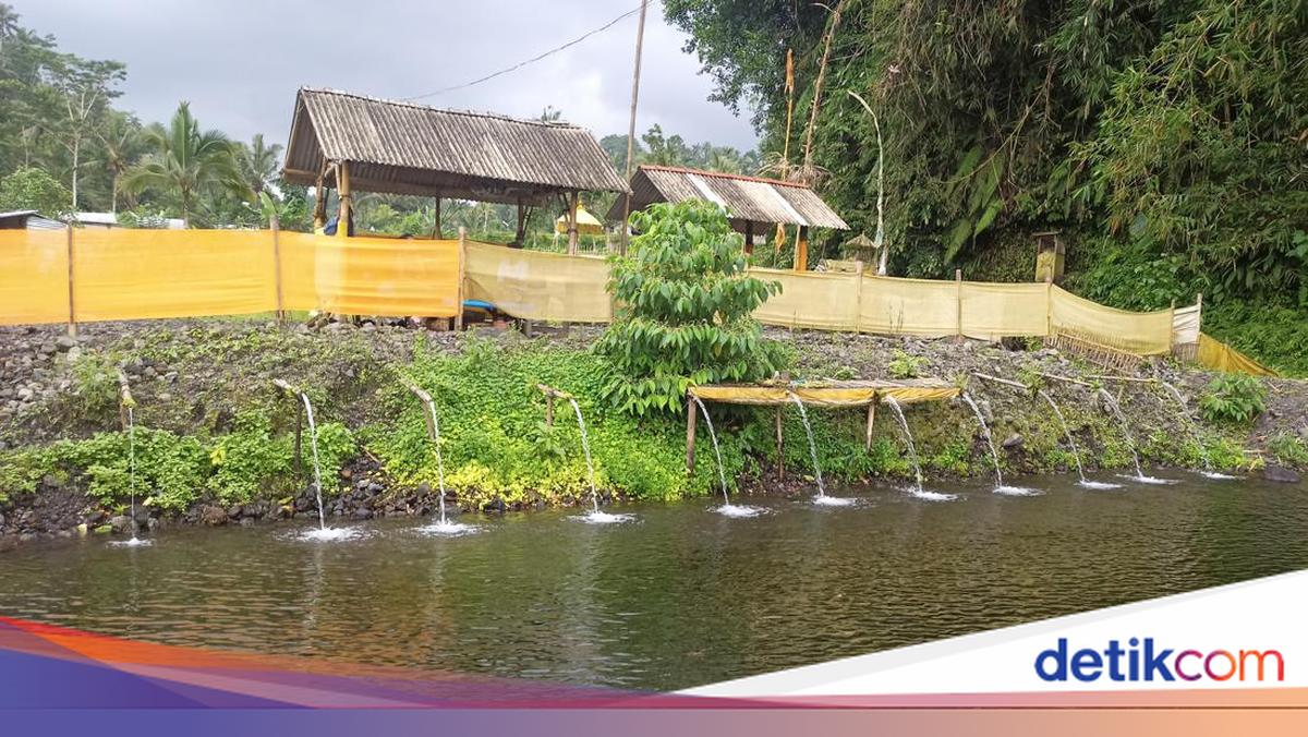 Mitos Ritual Penglukatan di 'Tirta Sah'; Raih Kesembuhan-Keturunan