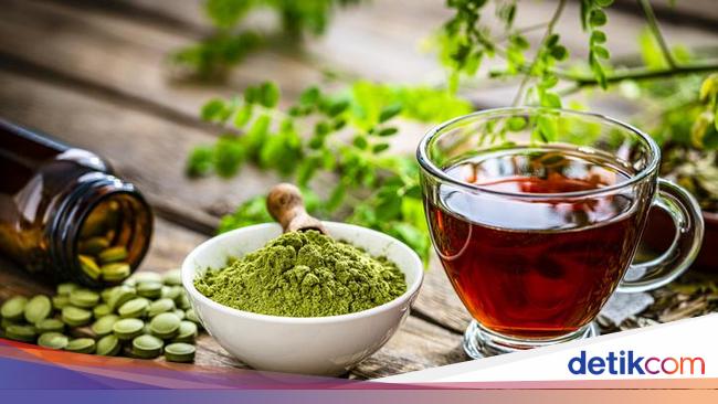 10 Manfaat Teh Daun Kelor untuk Kesehatan Tubuh