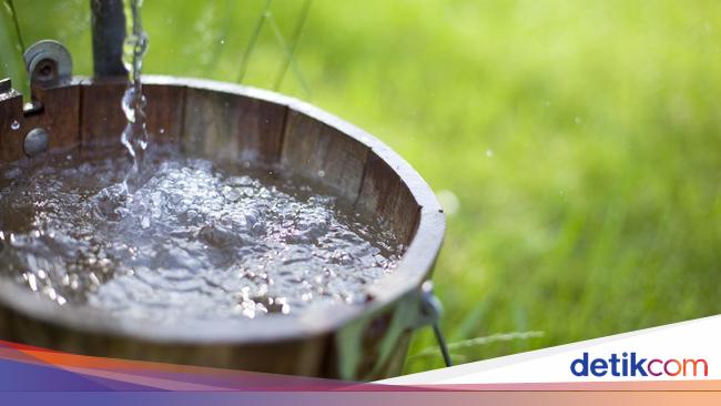 Hukum Makruh: Pengertian, Jenis dan Contohnya
